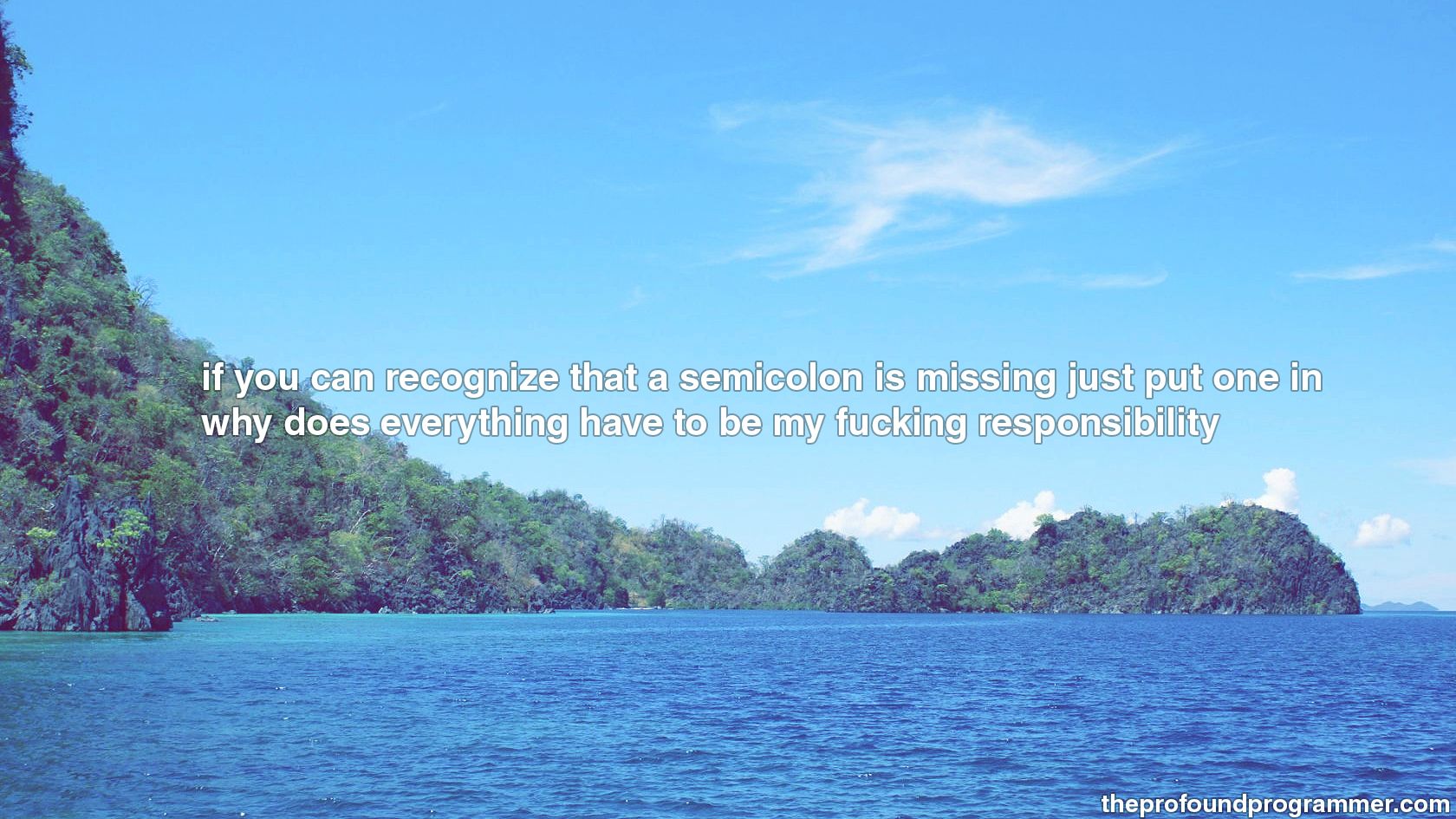 The Profound Programmer