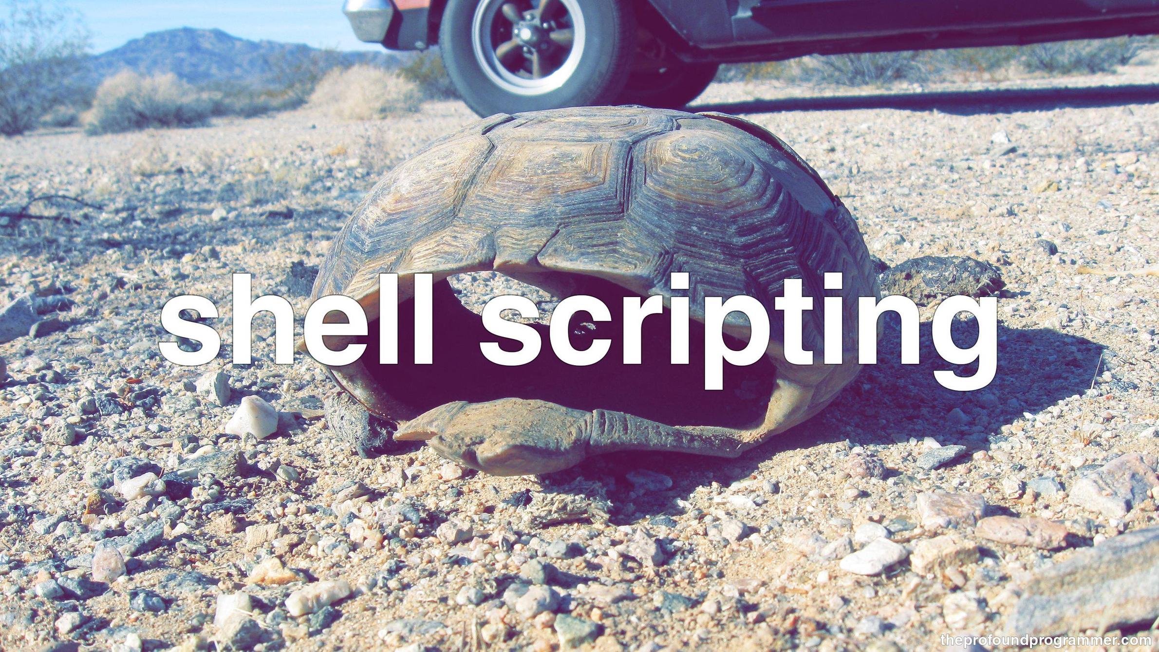 The Profound Programmer