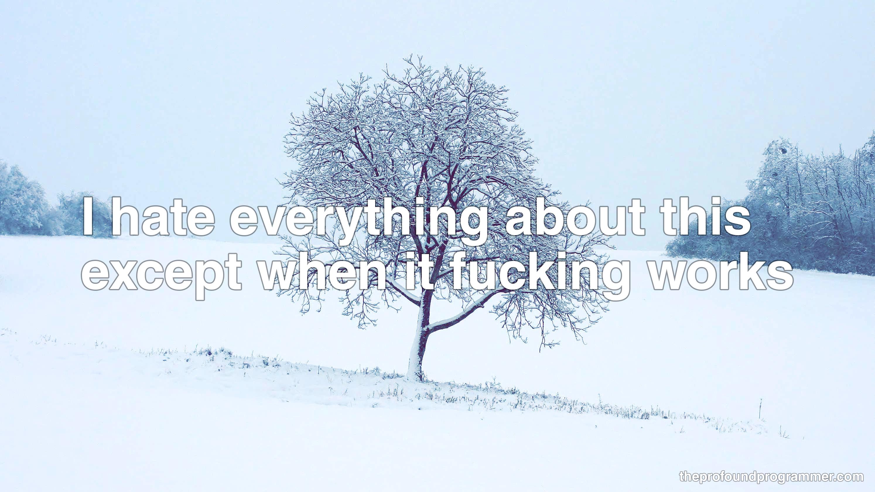 The Profound Programmer