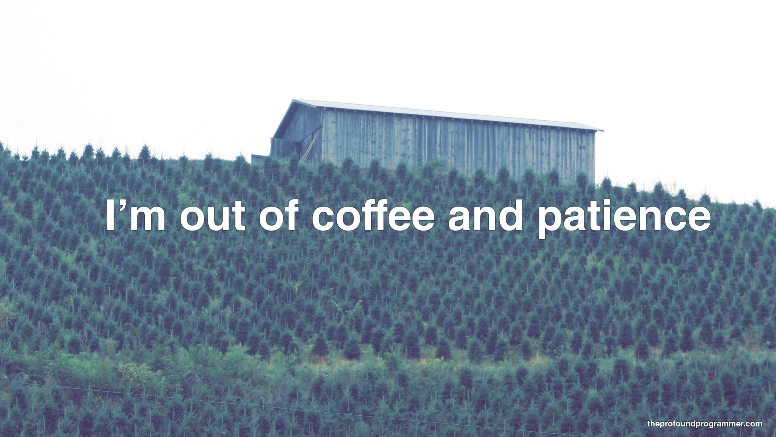 The Profound Programmer