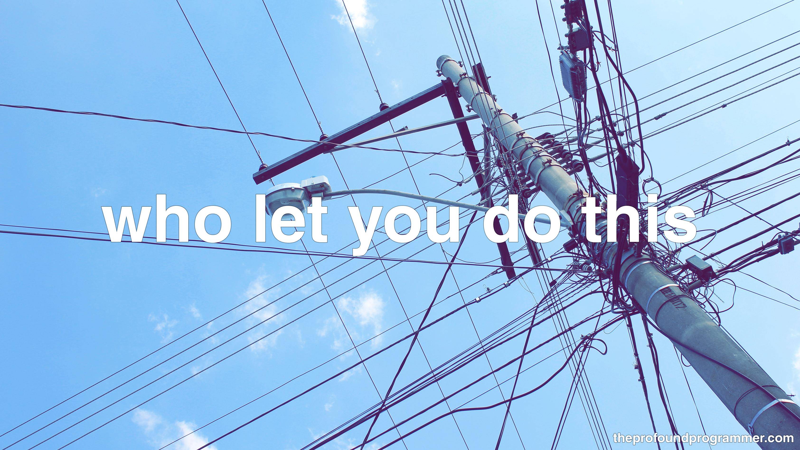 The Profound Programmer