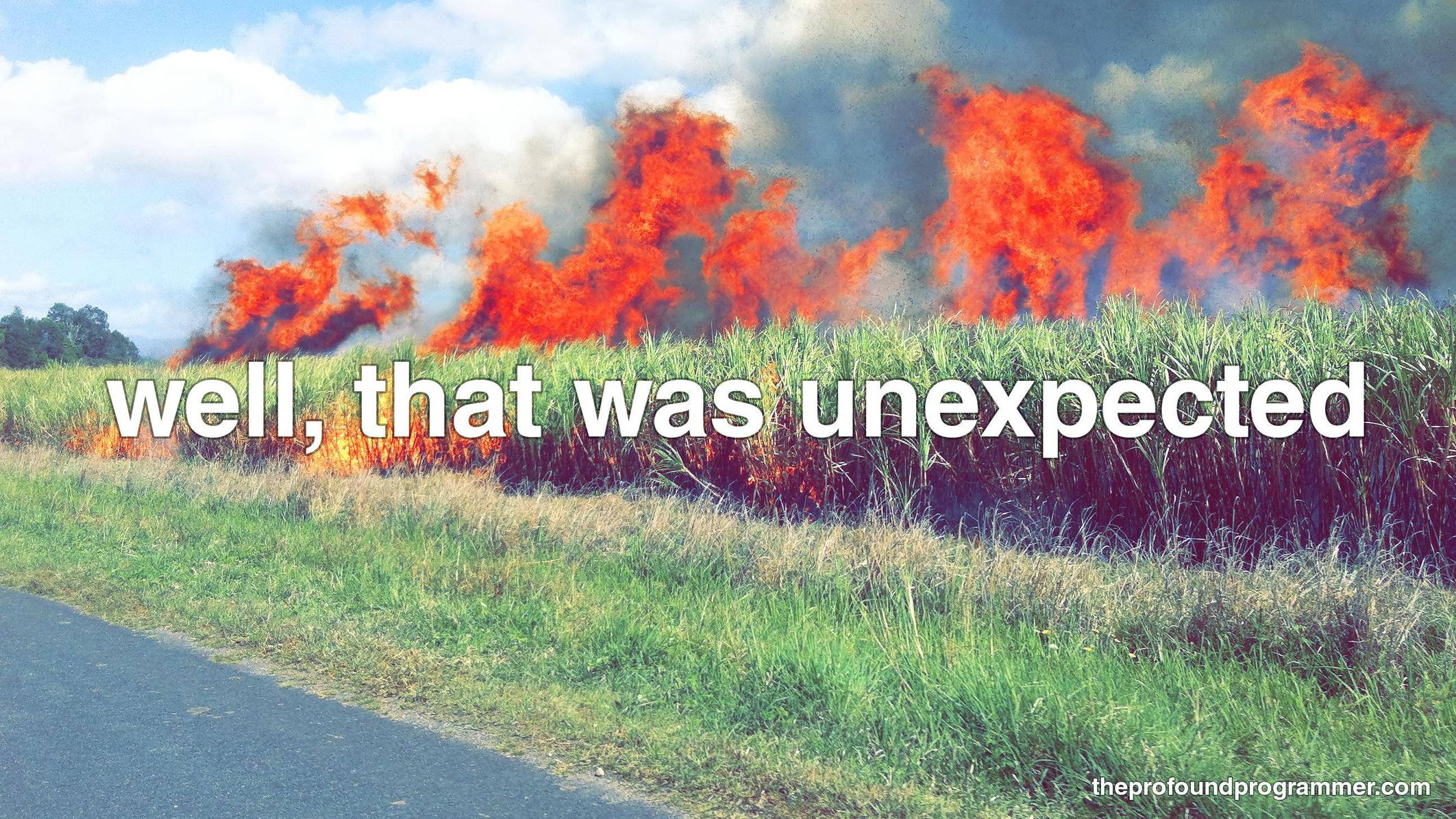 The Profound Programmer